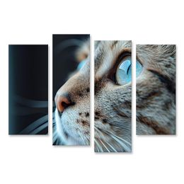 islandburner Leinwandbild Detailaufnahme einer Katze mit leuchtend blauen Augen und eindringlich