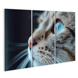 islandburner Leinwandbild Detailaufnahme einer Katze mit leuchtend blauen Augen und eindringlich