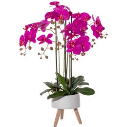 Kunstorchidee Creativ green "Orchidee Phalaenopsis in Keramikschale" Kunstpflanzen Gr. H: 75 cm, 1 St., lila Kunst-Orchideen