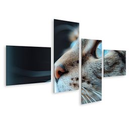 islandburner Leinwandbild Detailaufnahme einer Katze mit leuchtend blauen Augen und eindringlich