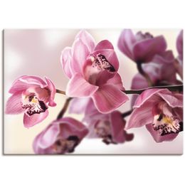 Wandbild Artland "Rosa Orchidee" Bilder Gr. B/H: 100 cm x 70 cm, Leinwandbild Blumenbilder Querformat, 1 St., pink Kunstdrucke