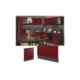 VICCO Geschirrsp&uuml;lerblende K&uuml;chenschrank K&uuml;chenm&ouml;bel R-Line J-Shape Anthrazit Rot 60 cm modern