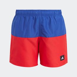 Adidas Colorblock Badeshorts