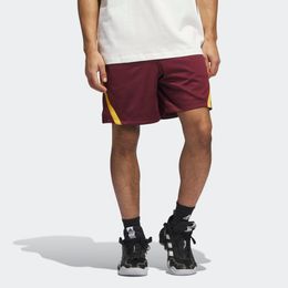 Adidas Select Summer Shorts