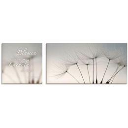 Glasbild Artland "Zitatenbild, Pusteblumen-Samen" Bilder Gr. B/H: 60 cm x 30 cm, Sprüche & Te x te, 2 St., grau Glasbilder