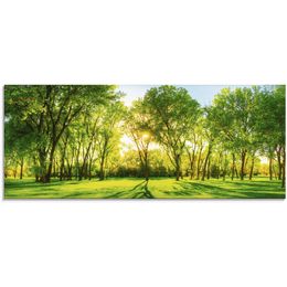 Glasbild Artland "Frühlingswärme II" Bilder Gr. B/H: 125 cm x 50 cm, Wiesen & Bäume, 1 St., grün Glasbilder