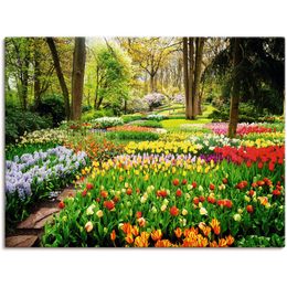Wandbild Artland "Tulpen Garten Frühling" Bilder Gr. B/H: 120 cm x 90 cm, Leinwandbild Blumenwiese Querformat, 1 St., bunt Kunstdrucke