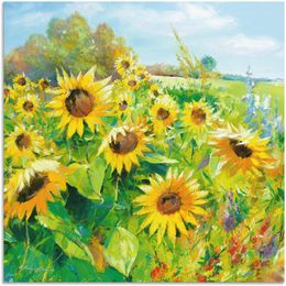 Wandbild Artland "Sommerwiese mit Sonnenblumen" Bilder Gr. B/H: 100 cm x 100 cm, Alu-Dibond-Druck Blumenwiese, 1 St., gelb Kunstdrucke