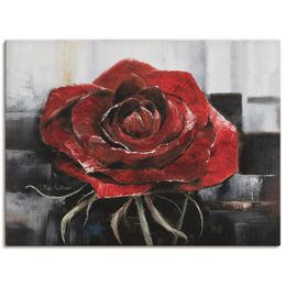 Wandbild Artland "Blühende rote Rose" Bilder Gr. B/H: 120 cm x 90 cm, Leinwandbild Blumen Querformat, 1 St., rot Kunstdrucke