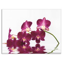 Küchenrückwand Artland "Phalaenopsis Orchidee" Spritzschutzwände Gr. B/H: 80 cm x 60 cm, lila Küchendekoration