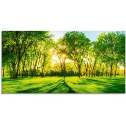 Glasbild Artland "Frühlingswärme II" Bilder Gr. B/H: 100 cm x 50 cm, Wiesen & Bäume, 1 St., grün Glasbilder