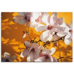 Wandbild Artland "Fotokollage Magnolie" Bilder Gr. B/H: 100 cm x 70 cm, Leinwandbild Blumen, 1 St., orange Kunstdrucke