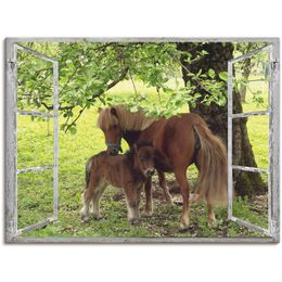 Wandbild Artland "Fensterblick - Pony mit Kind" Bilder Gr. B/H: 120 cm x 90 cm, Leinwandbild Haustiere, 1 St., grün Kunstdrucke