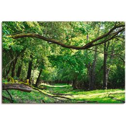 Wandbild Artland "Auf grünem Weg durch den grünen Wald" Bilder Gr. B/H: 120 cm x 80 cm, Leinwandbild Wald, 1 St., grün Kunstdrucke
