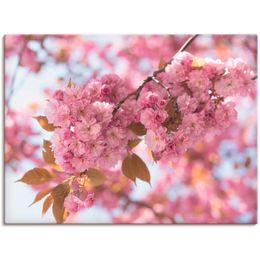 Wandbild Artland "Japanische Kirschblüte in Love I" Bilder Gr. B/H: 120 cm x 90 cm, Leinwandbild Blumen, 1 St., pink Kunstdrucke