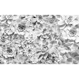Komar Vliestapete "Shades Black and White" Tapeten Gr. B/L: 400 m x 250 m, Rollen: 1 St., braun Blumentapeten
