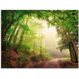 Glasbild Artland "Natürliche Torbögen durch Bäume" Bilder Gr. B/H: 80 cm x 60 cm, Wald, 1 St., grün Glasbilder