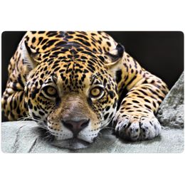 Glasbild Wall-Art "Jaguar" Bilder Gr. B/H: 100 cm x 70 cm, Schriftzug, braun (schwarz braun) Glasbilder