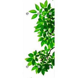 Garderobenleiste queence "Zweige mit Blättern" Garderobenhalter Gr. B/H/T: 50 cm x 120 cm x 10 cm, grün (grün, weiß) Haken