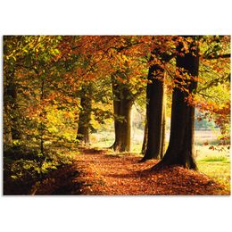 Wandbild Artland "Herbstfarben" Bilder Gr. B/H: 100 cm x 70 cm, Alu-Dibond-Druck Bäume, 1 St., gelb Kunstdrucke