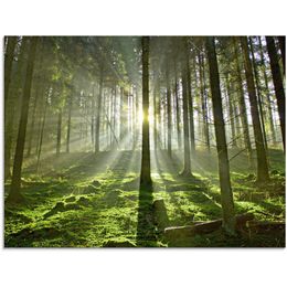 Glasbild Artland "Wald im Gegenlicht" Bilder Gr. B/H: 80 cm x 60 cm, Wald, 1 St., grün Glasbilder
