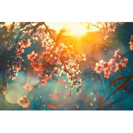 Leinwandbild queence "Cherry Blossom" Bilder Gr. B/H: 90 cm x 60 cm, rechteckig Blätter-Blätterbilder-Blumen-Blumenbilder-Bilder vom Sonnenuntergang & -aufgang Querformat, 1 St., blau Leinwandbilder