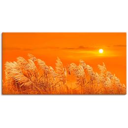 Wandbild Artland "Im Wind" Bilder Gr. B/H: 100 cm x 50 cm, Leinwandbild Gräser, 1 St., orange Kunstdrucke