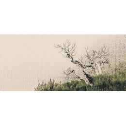 ARCHITECTS PAPER Fototapete "Atelier 47 Death Tree Puzzle 2" Tapeten Gr. B/L: 6 m x 2,7 m, grün (beige, dunkelgrün, creme) Fototapeten Natur