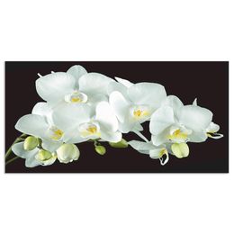 Küchenrückwand Artland "Weiße Orchidee auf schwarzem Hintergrund" Spritzschutzwände Gr. B/H: 110 cm x 55 cm, weiß Küchendekoration