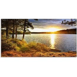 Glasbild Artland "Sonnenuntergang über See Algonquin Park" Bilder Gr. B/H: 100 cm x 50 cm, Sonnenaufgang & -untergang, 1 St., bunt Glasbilder