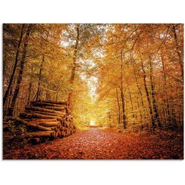 Glasbild Artland "Herbstlandschaft" Bilder Gr. B/H: 80 cm x 60 cm, Vier Jahreszeiten, 1 St., rot Glasbilder