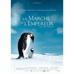 Close Up - Die Reise der Pinguine Poster Dokumentarfilm (französisches Plakat)