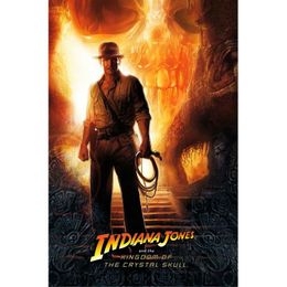 Close Up - Indiana Jones Poster Kingdom of th Crystal Skull Teaser Motiv