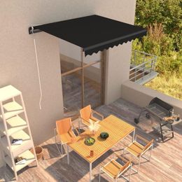 MAISONCHIC - Einziehbare Markise Sonnenmarkise Sonnenschutz Terrasse Balkon Auvent Handbetrieben 300 x 250 cm Anthrazit RGDCH135609