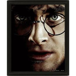 Pyramid International - Harry Potter 3D Poster Harry vs Voldemort 3-D Lentikular-Poster im Rahmen