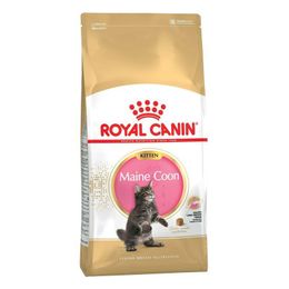 Royal Canin - Maine Coon Kitten Katzen Trockenfutter 2 kg