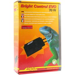 Bright Control evo - 70W - LUCKY REPTILE