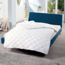 Bestlivings - 4-Jahreszeiten Steppbett ( 155x220cm ) Bettdecke + Kopfkissen 80x80cm - 2 Schlafdecken mit Druckknöpfen - Allergiker geeignet