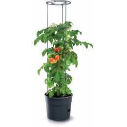 Spetebo Tomaten Pflanztopf rund mit Rankhilfe - 153 x 29 cm - Anwuchshilfe mit integriertem Bewässerungsboden - Pflanz Turm für Rankgewächse Höhe 4-fach