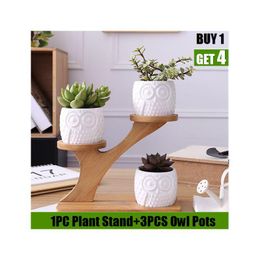 3er Pack / Set Pflanzgefäß für Sukkulenten Töpfe Bonsai Pot Bambuspflanzen Ständer Sets