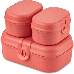 Koziol - Lunchbox pascal ready mini, 3er-Set