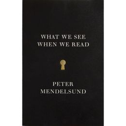 What We See When We Read - Peter Mendelsund, Kartoniert (TB)