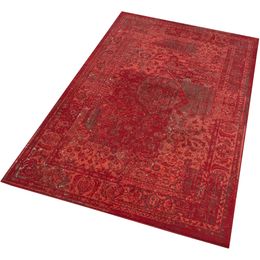 Teppich Hanse Home "Plume" Teppiche Gr. B/L: 160 cm x 230 cm, 9 mm, 1 St., rot Esszimmerteppiche