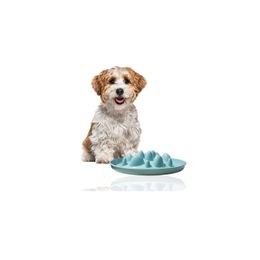 Rohrschneider Hunde-Futterspender