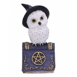 Horror-Shop Dekofigur Weiße Eule auf Hexenbuch mit Pentagramm 12