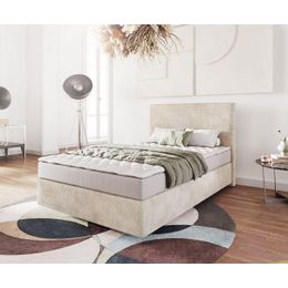 DeLife Boxspringbett Dream-Well