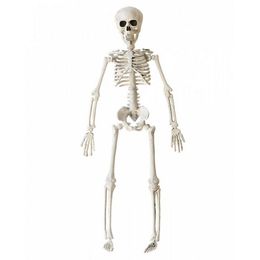 Horror-Shop Dekoobjekt Halloween Skelett 40 cm