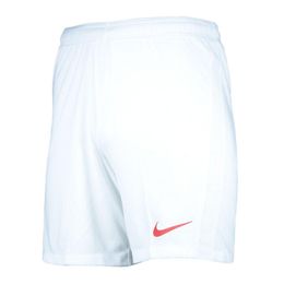 Nike Sporthose Türkei Short Home