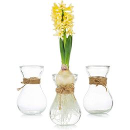 HIBNOPN Tischvase Glasvasen Für Blumen Mit Schnurseil 3er Set für Hochzeit