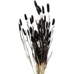 Boltze Gruppe - Deko-Zweige für Vase, getrocknet, 70 cm